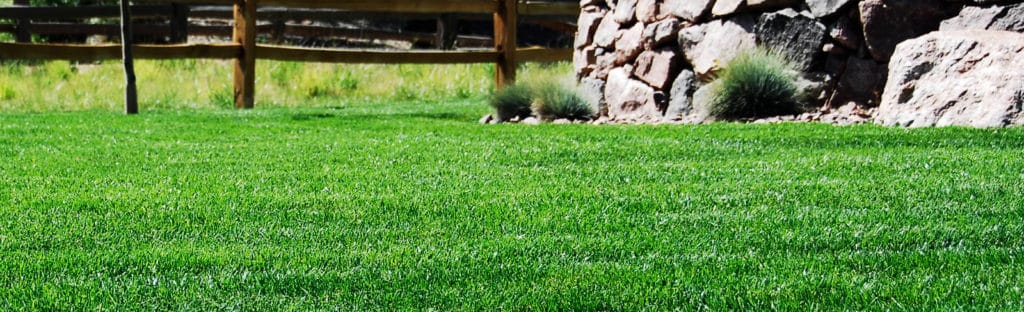 Lawn Care In Colorado Springs | (719) 499-8873